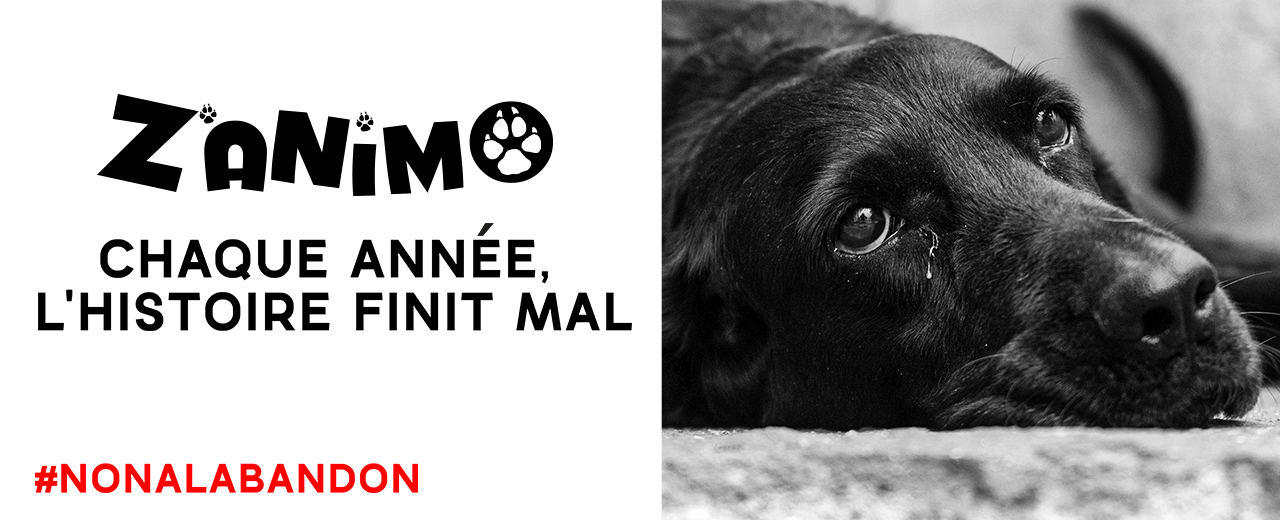 Z'animo - Accueil - Les meilleurs produits pour votre compagnon - Z'animo Tunisie