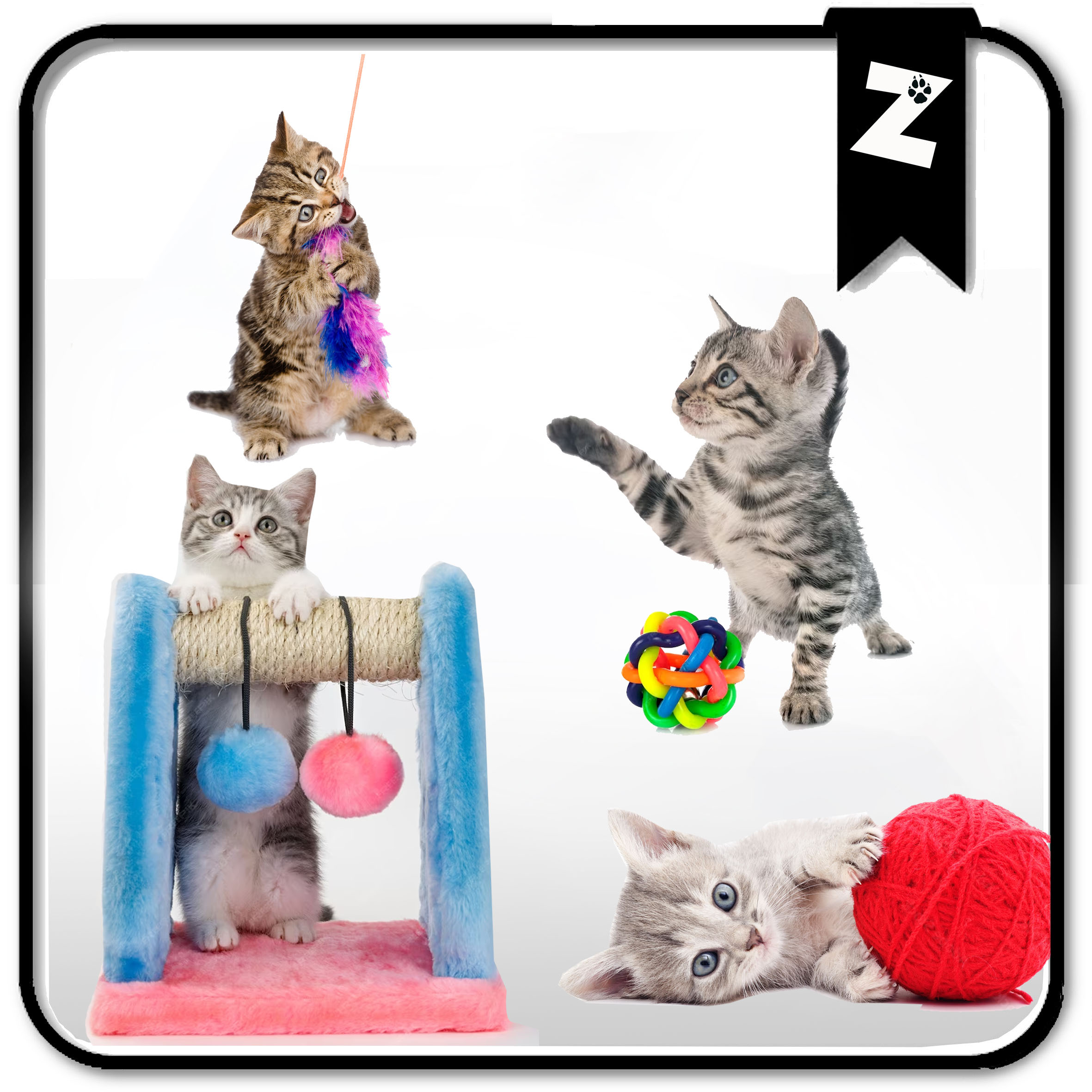 Z'animo - JOUETS CHATS