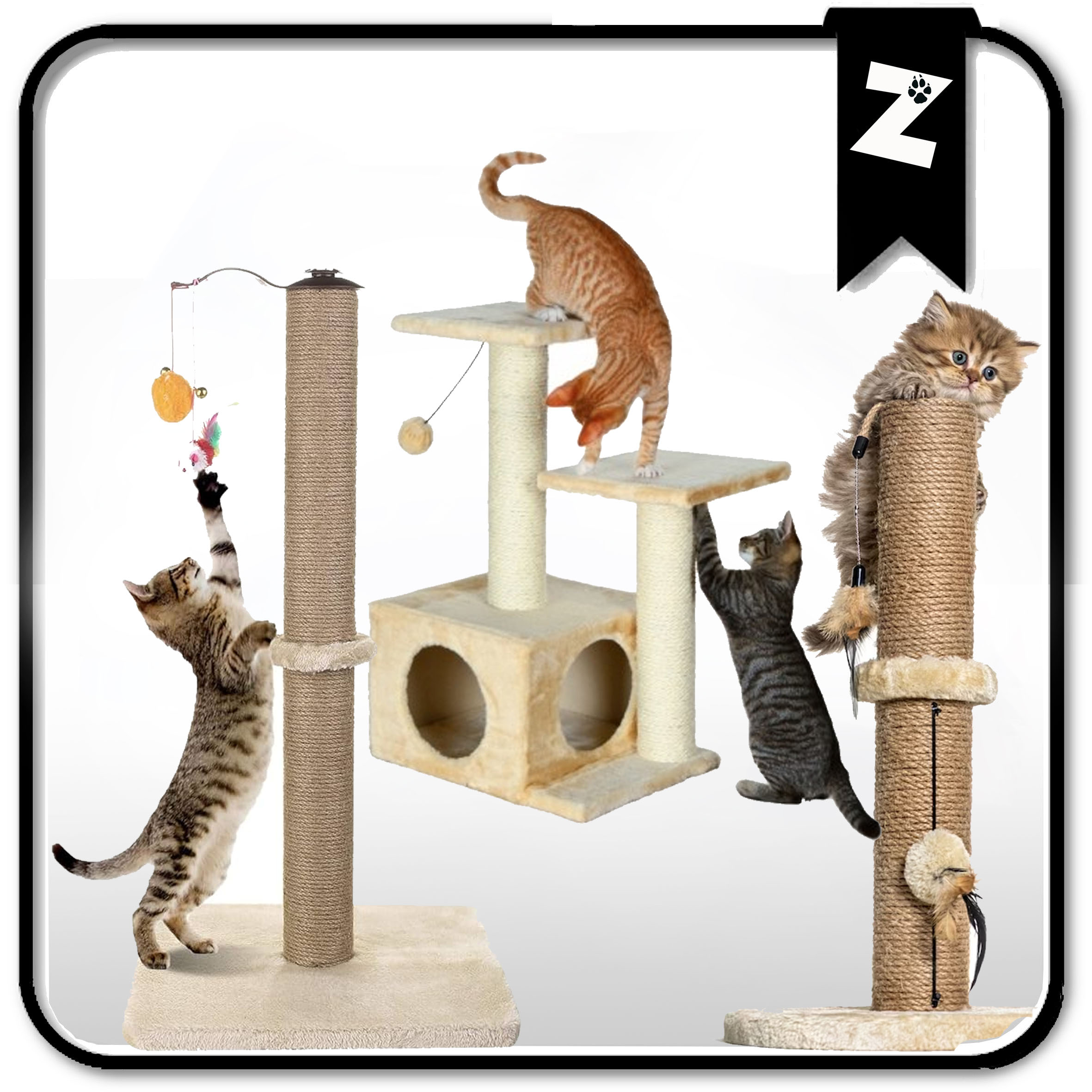 Z'animo - Accessoires Chats