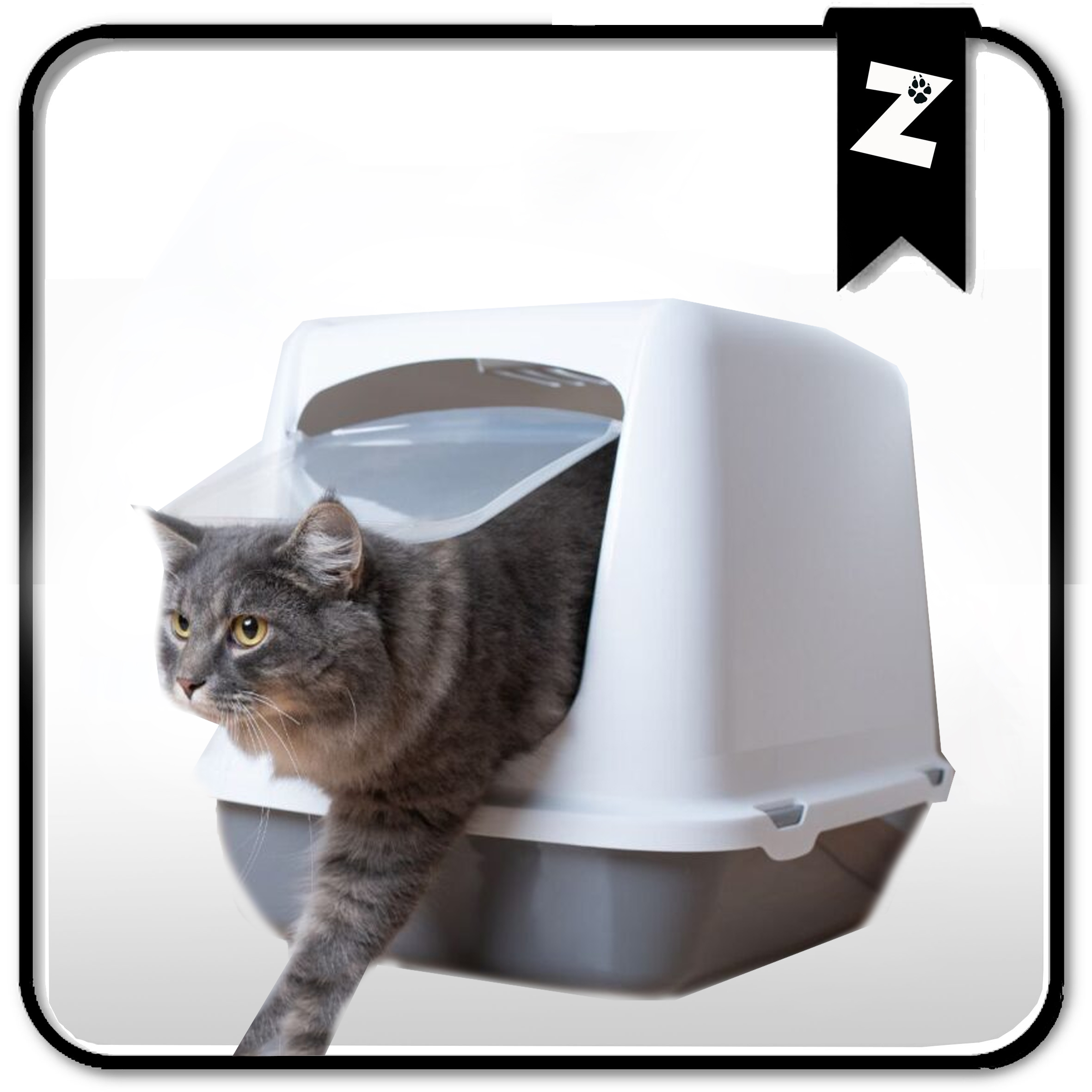 Z'animo - Accessoires Chats