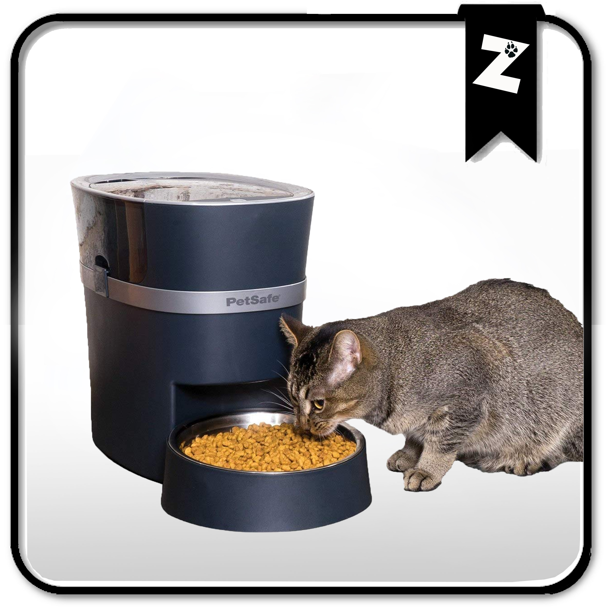 Z'animo - Accessoires Chats