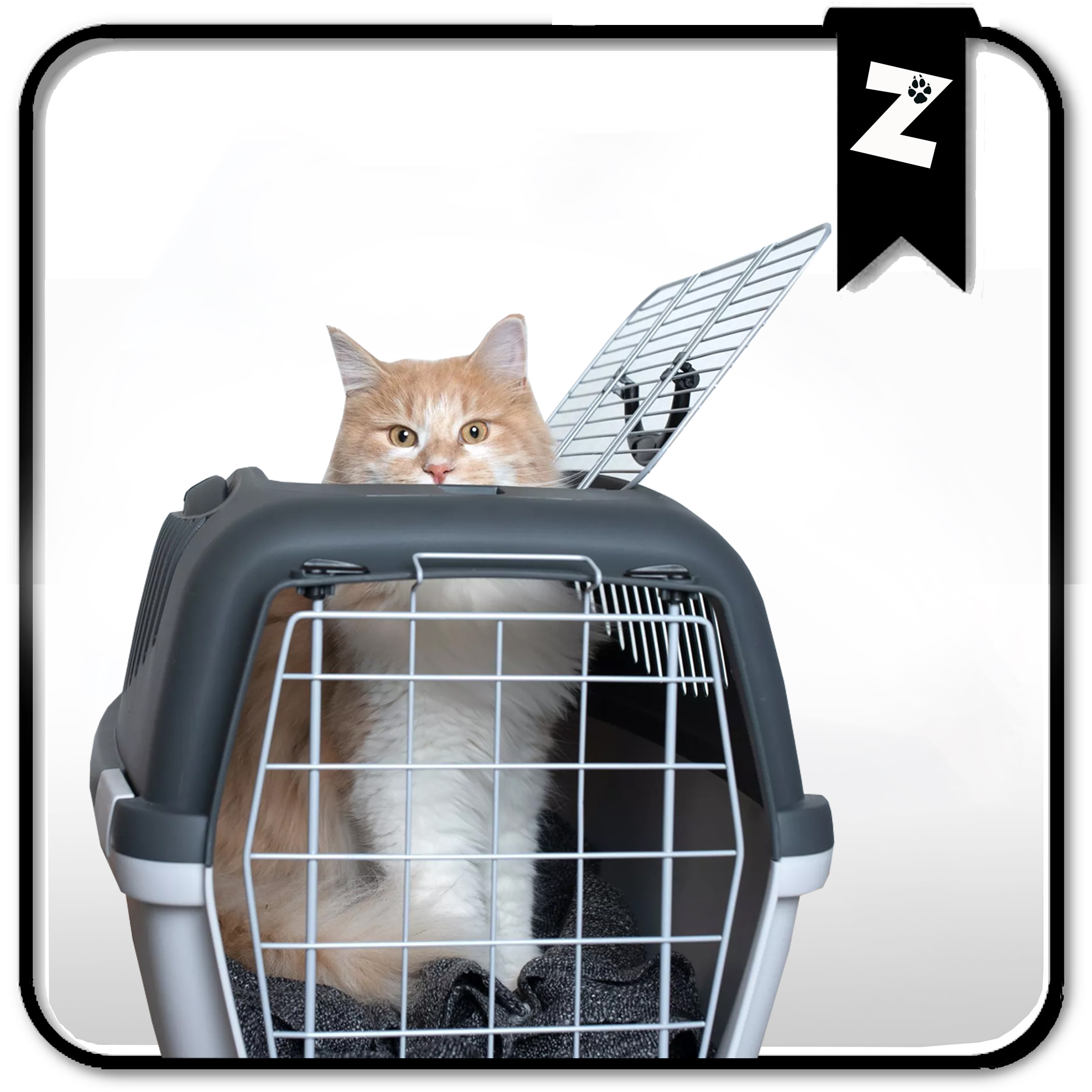 Z'animo - BOX DE TRANSPORT CHATS
