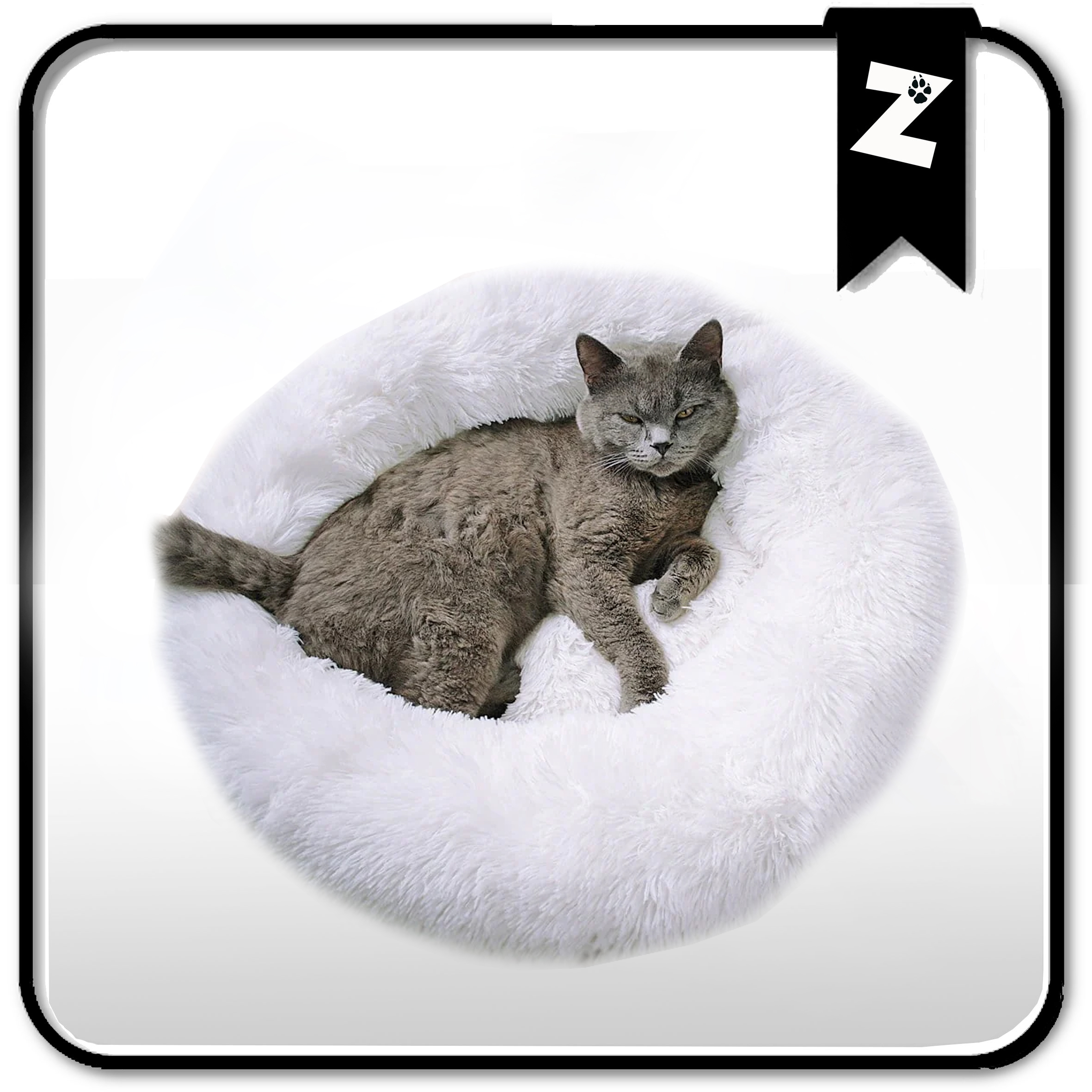 Z'animo - COUCHAGE CHAT