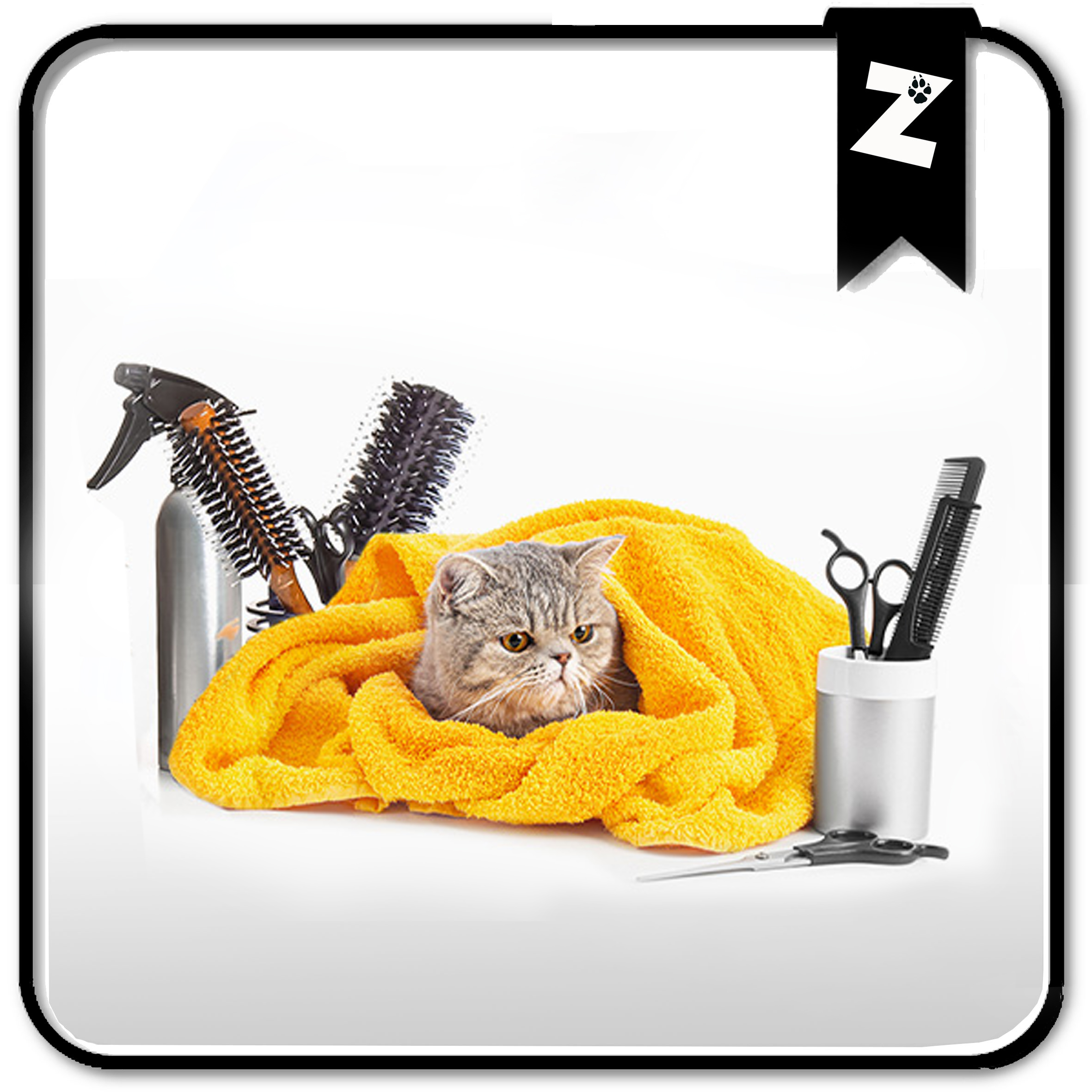 Z'animo - Accessoires Chats