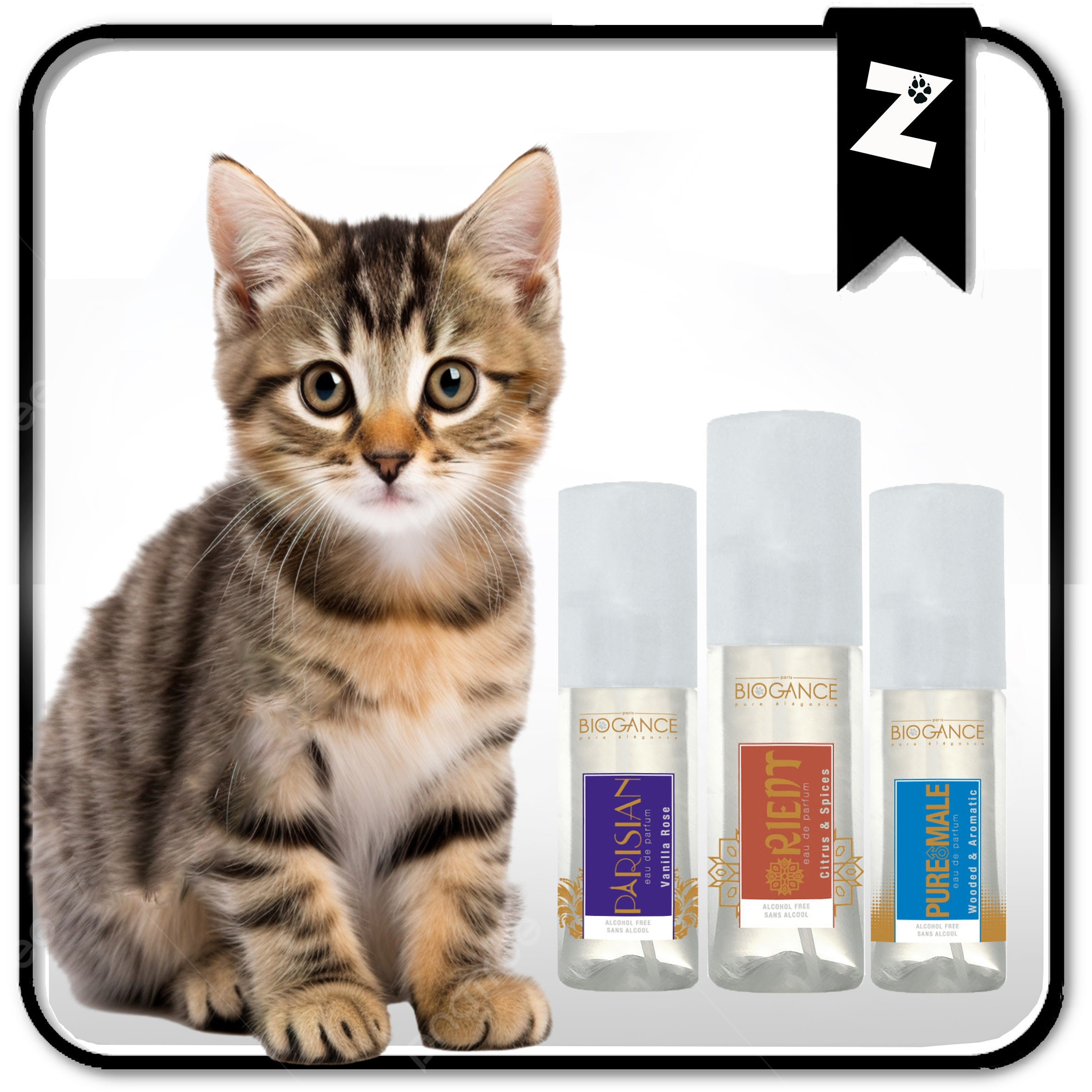 Z'animo - PARFUMS CHAT