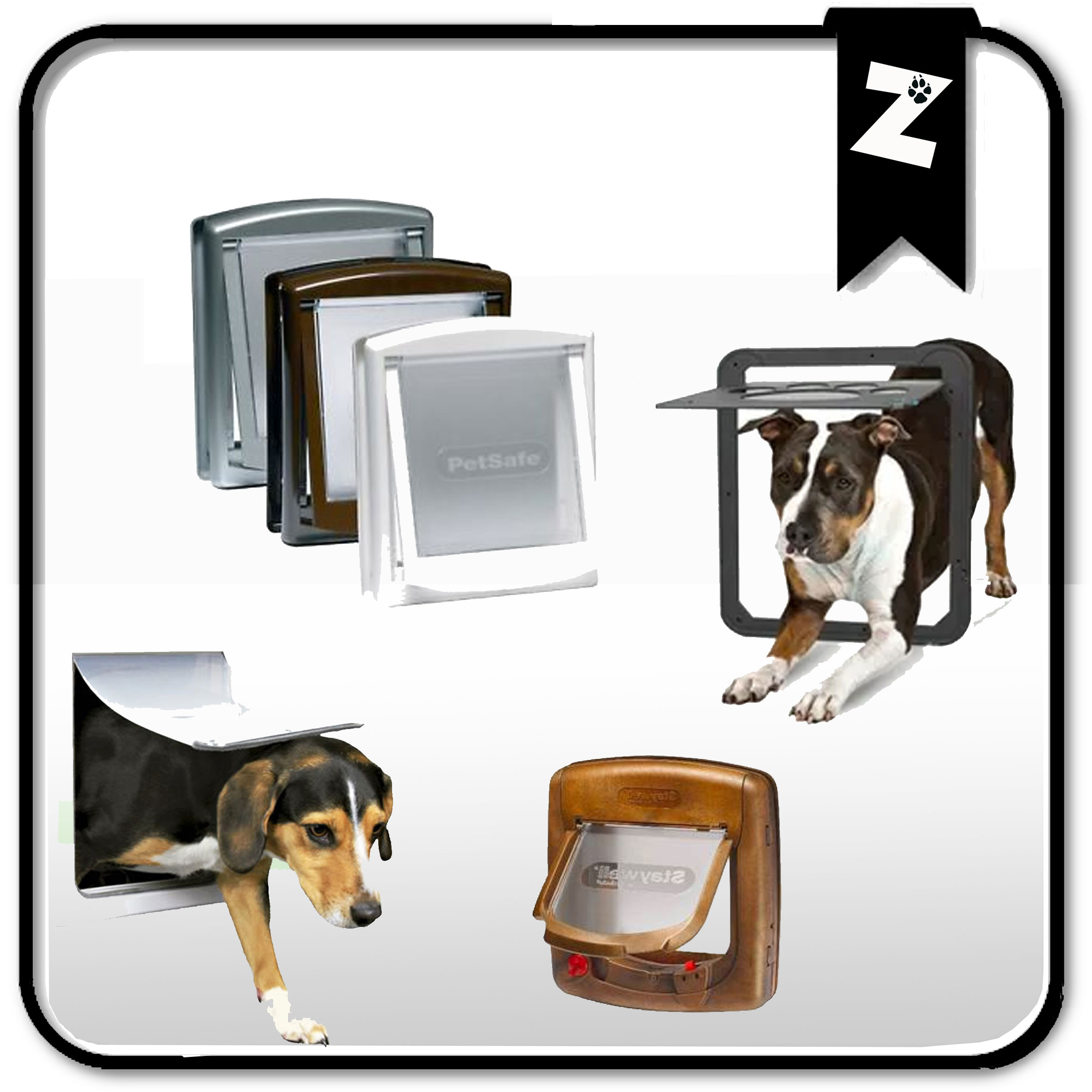 Z'animo - Accessoires Chats